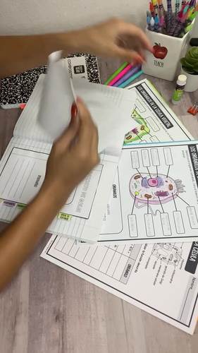 La célula animal y vegetal - Animal and Plant Cell in Spanish Digital ...