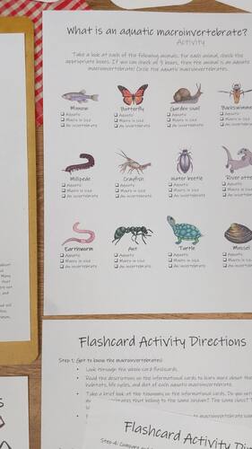 Aquatic Macroinvertebrates Mini Study: ecology lesson plan & materials