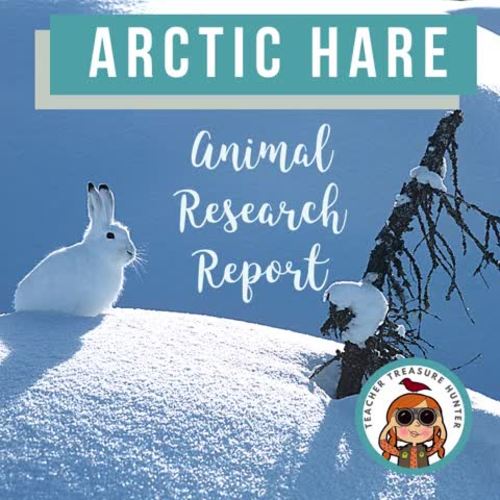 Arctic Animal Reports Arctic Hare informational article non-fiction writing
