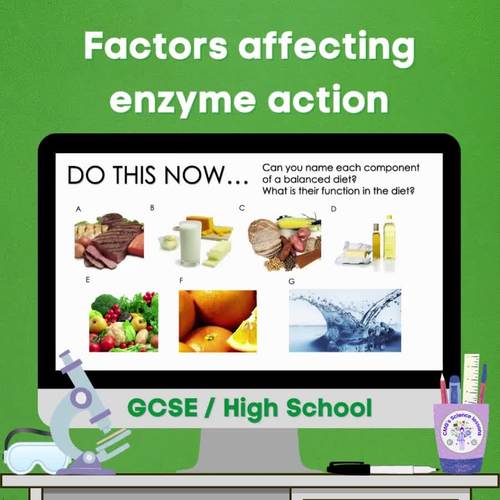 Factors affecting enzyme action (GCSE) by CMGs Science lessons | TPT