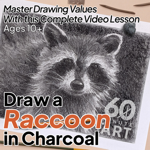 Draw a Raccoon in Charcoal on Paper by 60 Minute Art | TPT