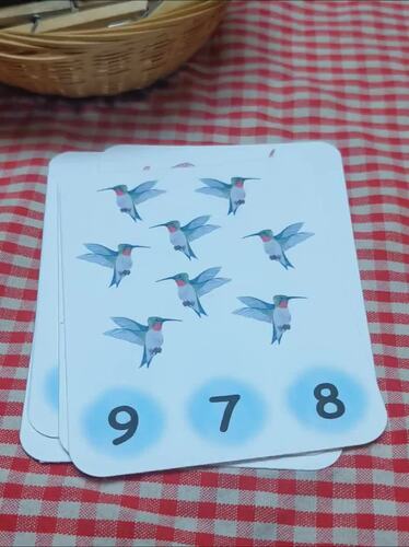 Nature Count and Clip Cards: preschool activity, numbers for toddlers