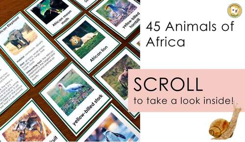 45 Animals of Africa Montessori 3 Part Cards & Information by ...