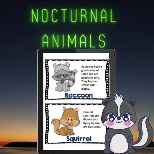 Nocturnal Animals - Nonfiction Text Features, Slideshow - Bats, Owls ...