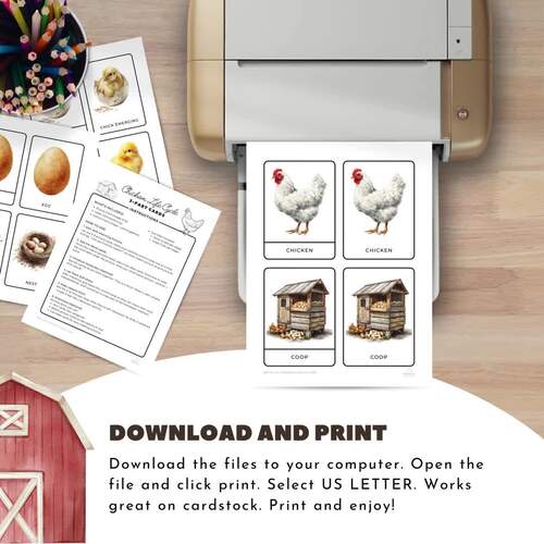 Chicken Life Cycle 3-Part Cards, Elementary Biology, Animals Science ...