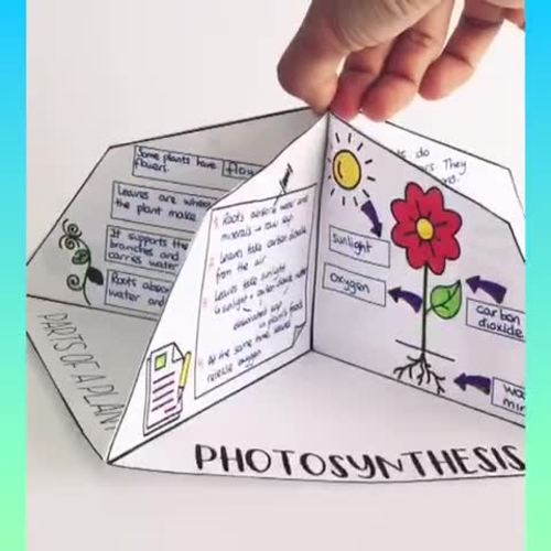 Triorama- All about plants. Las plantas. Spanish/ English by Ideas ...