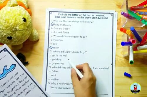 Summer Reading Comprehension Passage by The Joy in Teaching | TPT