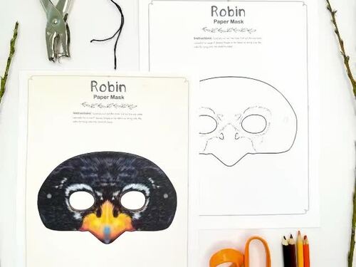 Robin | Paper Mask | Printable Craft | Robins by Simply Schoolgirl