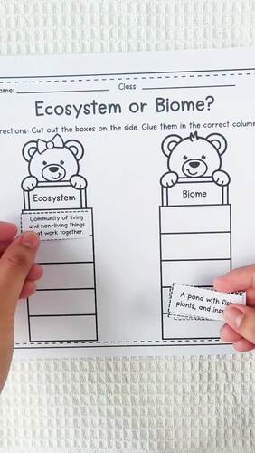 Ecosystems and Biomes – Cut and Paste Sorting Activity by Taketing Academy