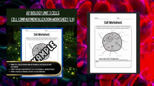 AP Biology UNIT 2 Cells 2.9 Cell Compartmentalization Worksheet | TPT