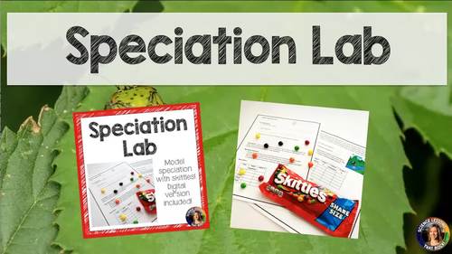 Speciation and Evolution Lab Activity by Science Lessons That Rock