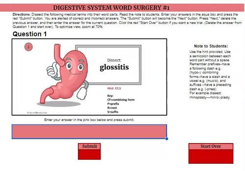 Digestive System Word Surgery Digital and Print Activity | TPT