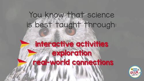 Owls Science Unit, All About Owls: Crafts, Worksheets, Fall Science ...