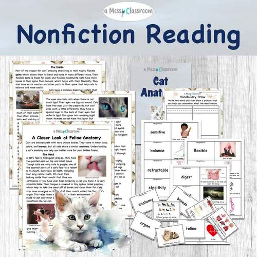 Cats: Feline Anatomy 2nd Grade Nonfiction Reading Unit L.2.1.e Parts of ...