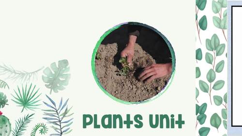 Plant Unit for Google Slides by Standards in Elementary | TPT