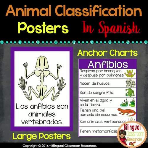 Animal Classification Posters in Spanish- Grupos de animales | TpT