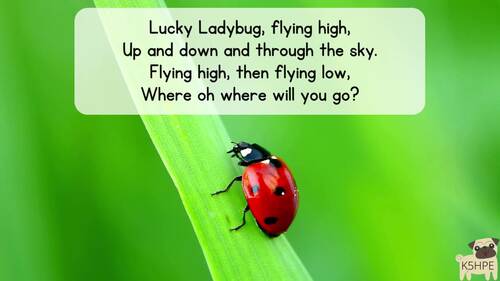 Music: Lucky Ladybug Song, Classroom Songs Reading Lyrics for Performance