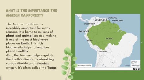 AMAZON RAINFOREST ANIMALS Virtual Field Trip + Videos + Research Worksheet