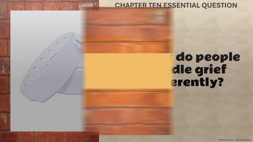 The Outsiders Chapter 10 Companion Presentation | Novel Study for ...