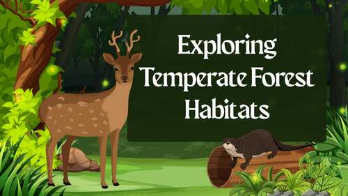 Ready Made Presentation - Exploring Temperate Forest - Ready To Edit ...