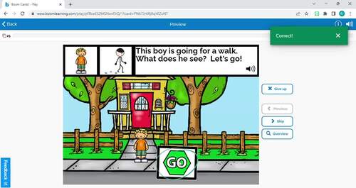 Summer Walk (Receptive/Expressive Language) | TPT