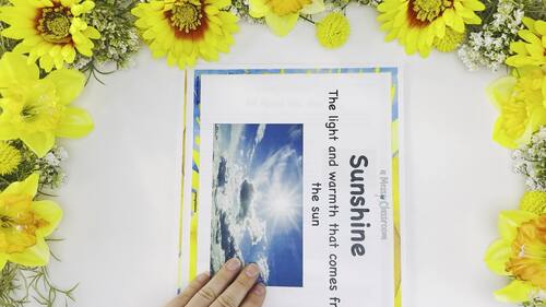 Sun Diversified Nonfiction Reading Lesson Clarifying Images Diagrams ...