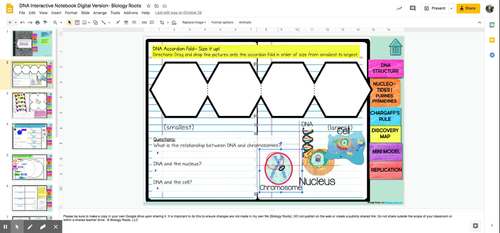 DNA Digital Notebook Activities- distance learning by Biology Roots
