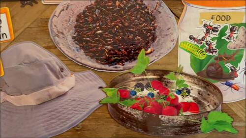 Wildlife Center Animals and Reptiles Dramatic Play by Miss Fuzzy Bee