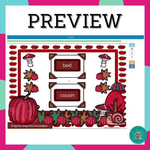 Fall Flair Nouns Person Place Thing Boom Cards™ by The British Kitty