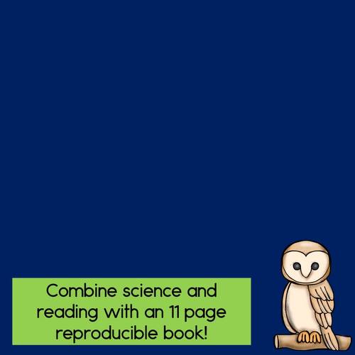 Owls Reading Comprehension Passage Book Worksheet and Vocabulary Posters