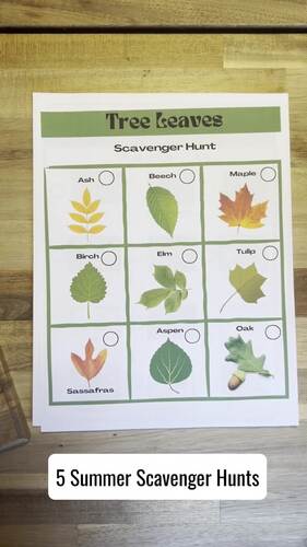 The Wonders of Nature Summer Activity Pack by Red Pine Roots | TPT