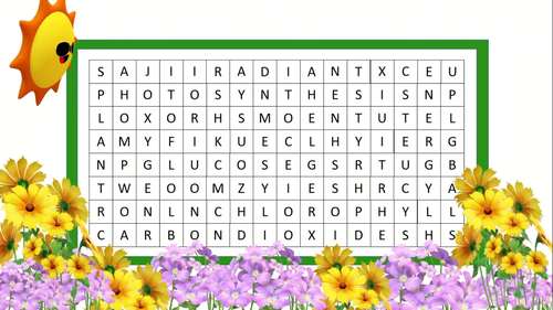 Interactive digital word search on photosynthesis by eddly | TPT