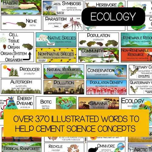 Life Science & Biology Visual Word Wall Bundle - English & Spanish ...