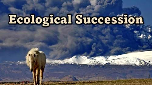 AP Environmental Science Ecological Succession & Disruptions Lesson BUNDLE