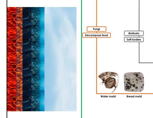 Montessori Timeline of Life Second Great Lesson Large Printable Format