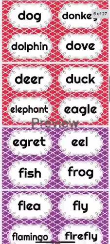 100 Nouns Flashcards - Common Animals Word Cards for Vocabulary Building