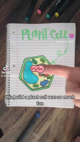 Build a Plant Cell with Labels by Spunky Science | TPT