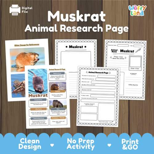 Muskrat Research Project | Wetland Animal Science Activity | Pond Life ...