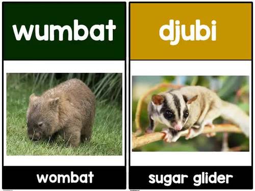 Animal Name Flashcards | Dharawal Language by Little Learner Hub