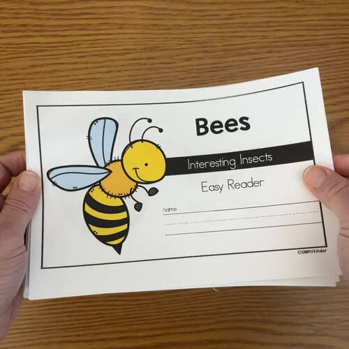 Insect & Bugs Nonfiction Readers & Comprehension Activities for ...