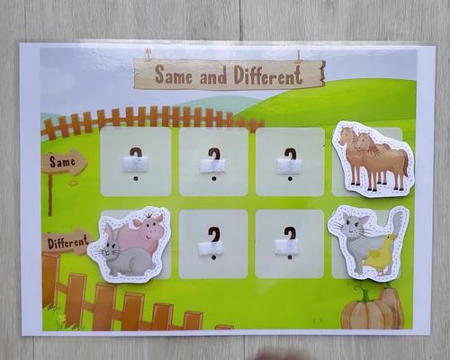 Same and Different Sorting Activity, Sorting by Attributes, Sort by ...