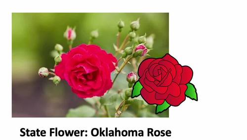 Oklahoma Powerpoint, 50 States, Special Education | TPT