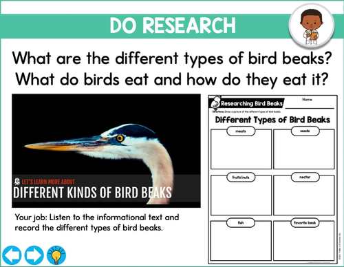 Build a Bird Beak: An Engineering Challenge by A Kinderteacher Life