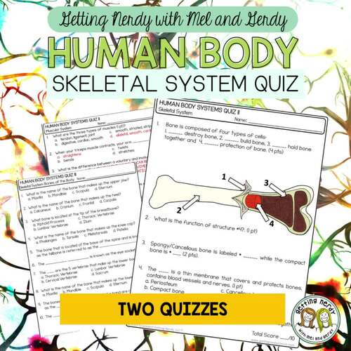 Skeletal System | Human Body | Bone Structure & Function Quizzes/Assessments