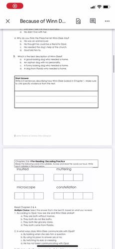 Because of Winn-Dixie Structured Literacy Novel Study | TPT