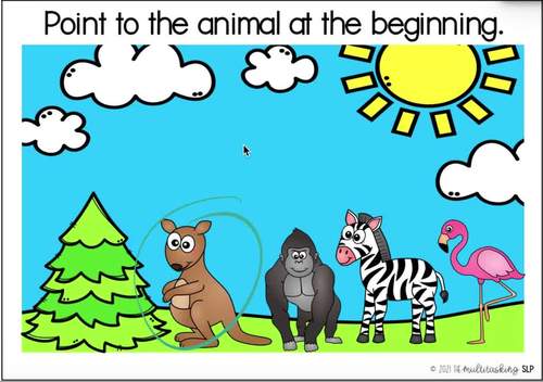 Zoo Basic Concepts | Speech Therapy| Boom Cards™ & Printable | TPT