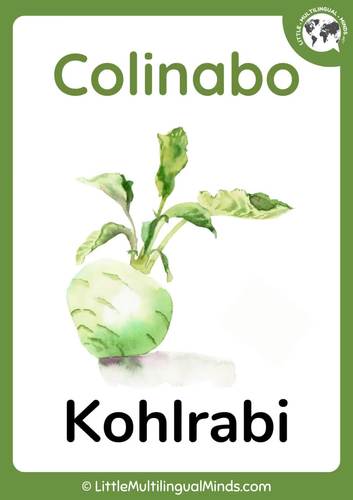 Las Verduras - Bilingual Vegetables Flashcards Pack in Spanish and English