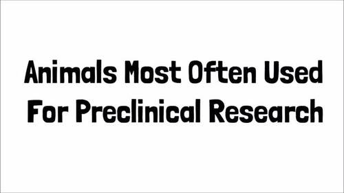 Animal Testing & Clinical Research | Boom™ Learning Cards | Health Science