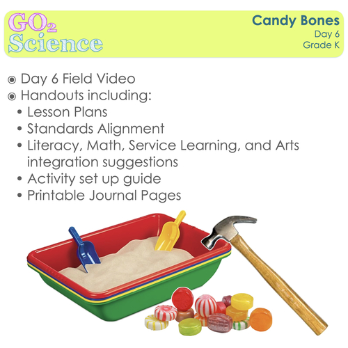 Mission Dinosaur Day 6 (Kindergarten) by Go2Science | TPT