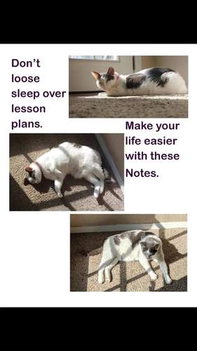 Realidades 1 Capítulo 5B Bundle by RoyAltis | TPT